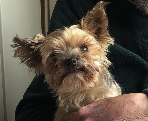 Cwiczenia